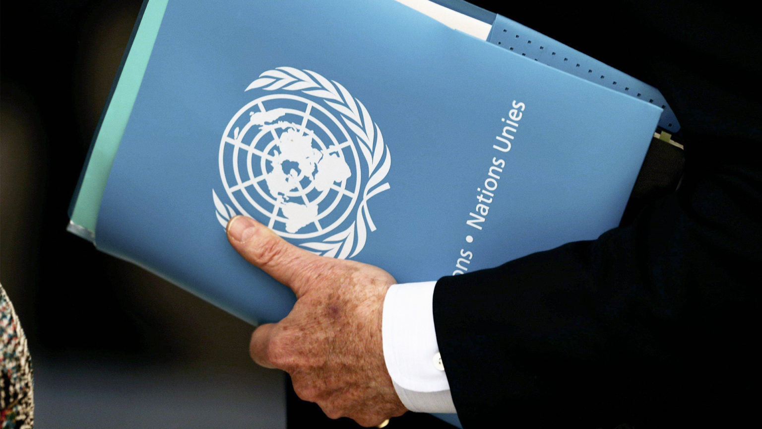 Oral statement given at Interactive dialogue with the Special ...